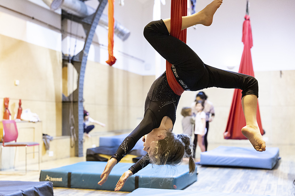 Fledglings (P1–P3) | Event Categories | All or Nothing Aerial Dance Theatre